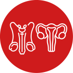 Fertility, Pregnancy and Infertility | Unjani Clinic